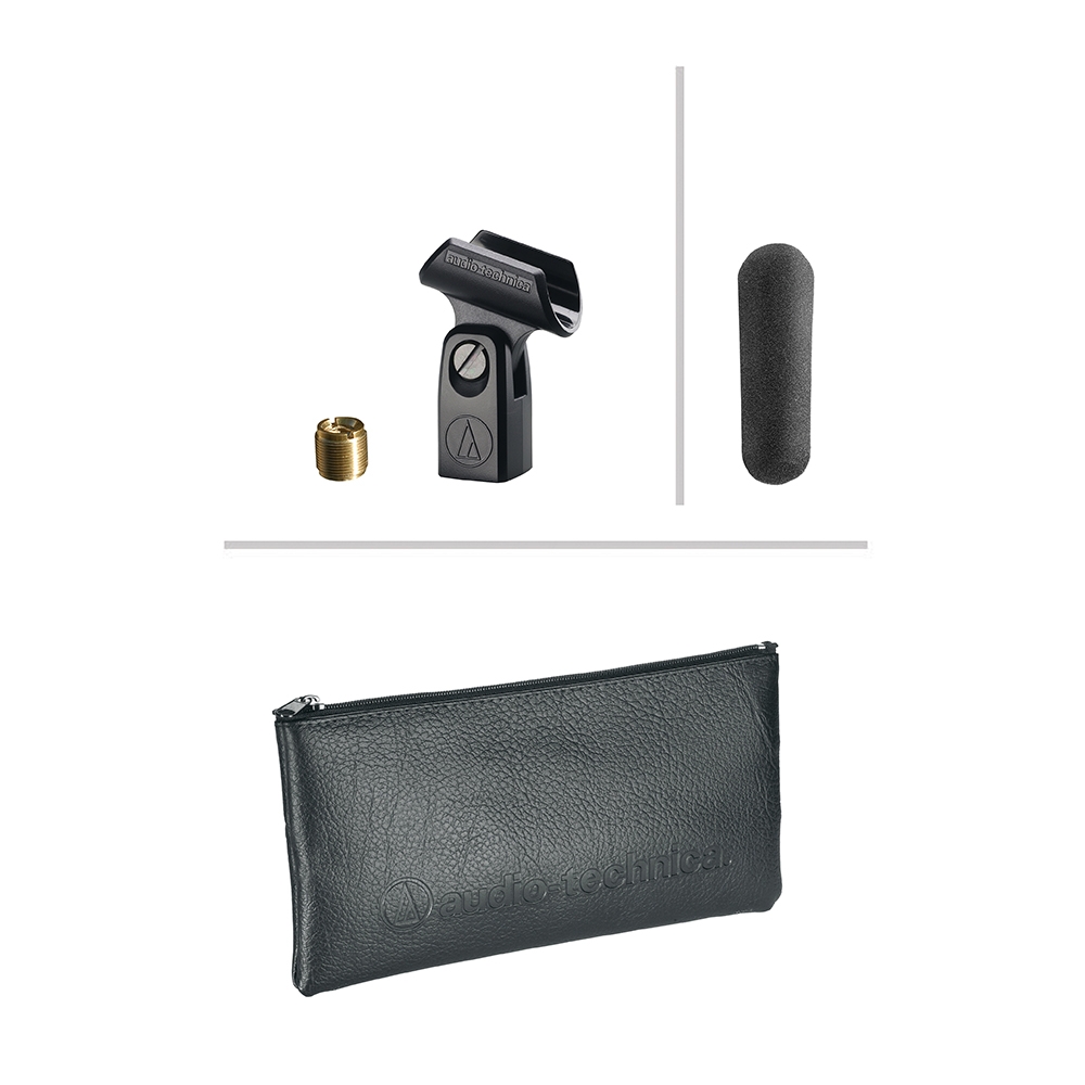 Audio-Technica AT875R Line + Gradient Condenser Microphone